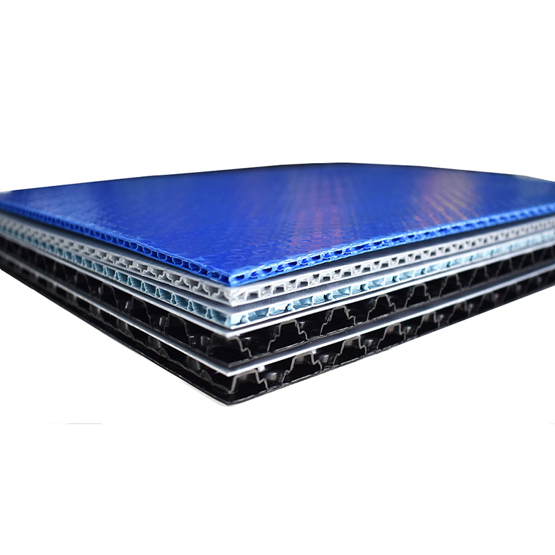 China pp cellular board for logistic Manufacture and Factory | Lonovae